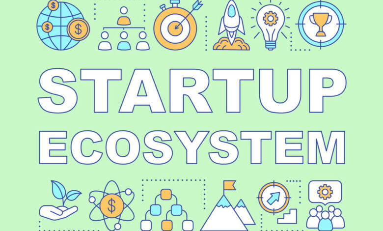 The role of women in the startup ecosystem of a country / Dr. Melika ...